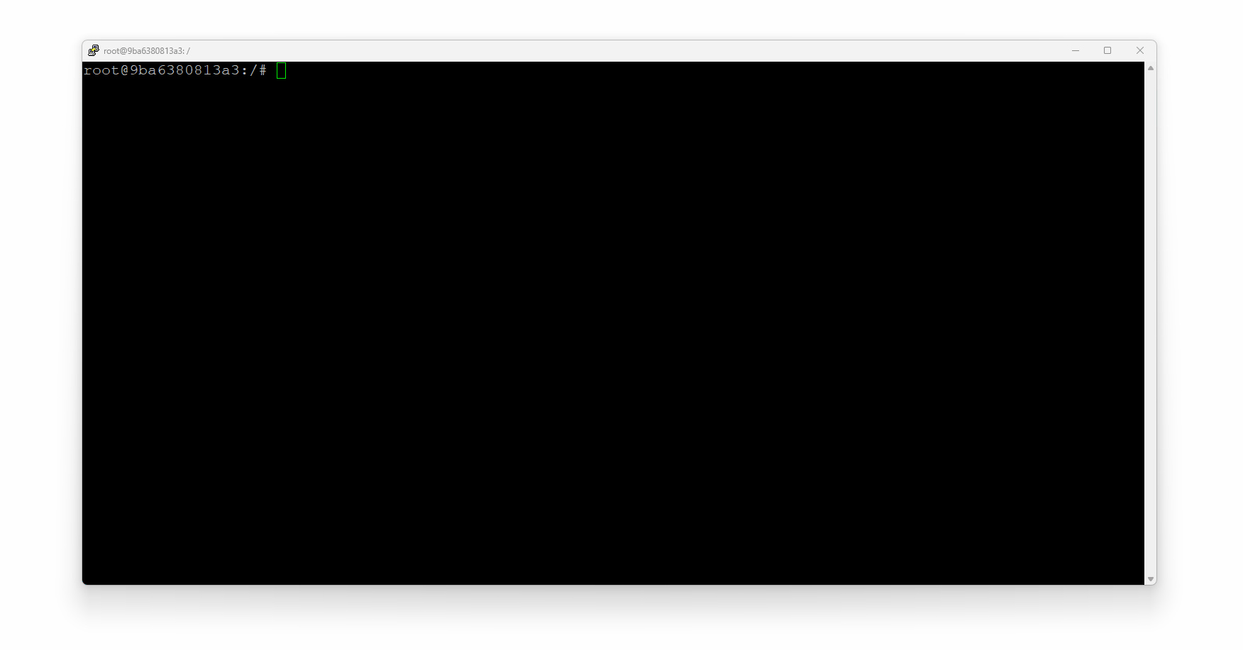 Setting Up Turtlesim Example Run Command