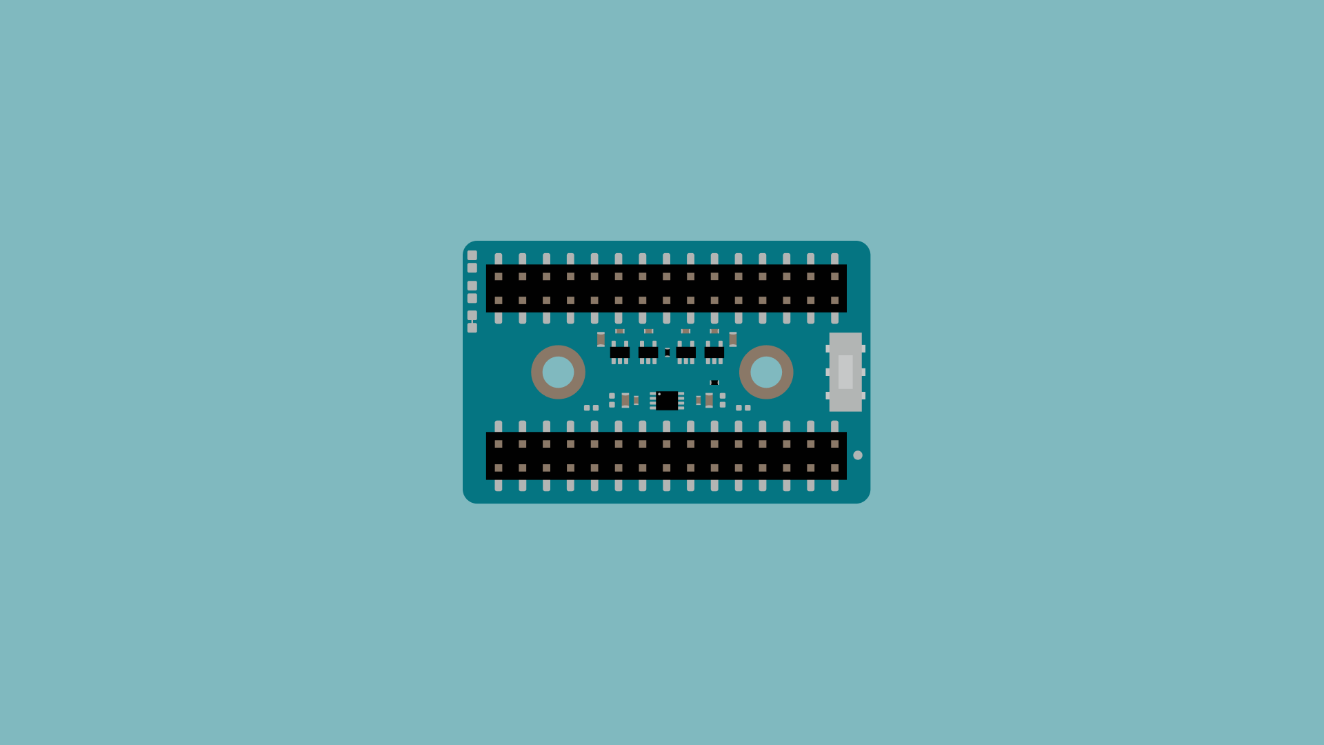 The Nano Connector Carrier