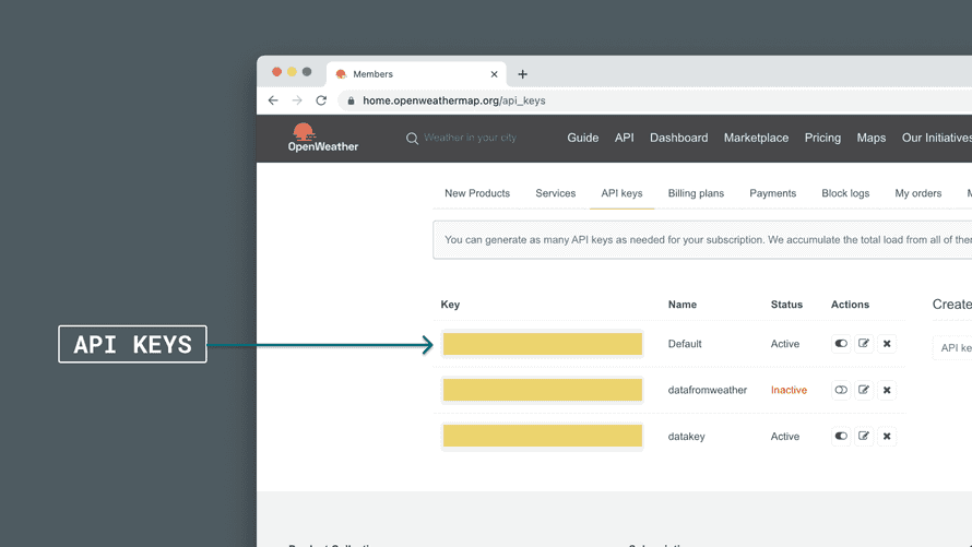API key section in OpenWeather.