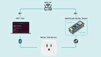 Project overview