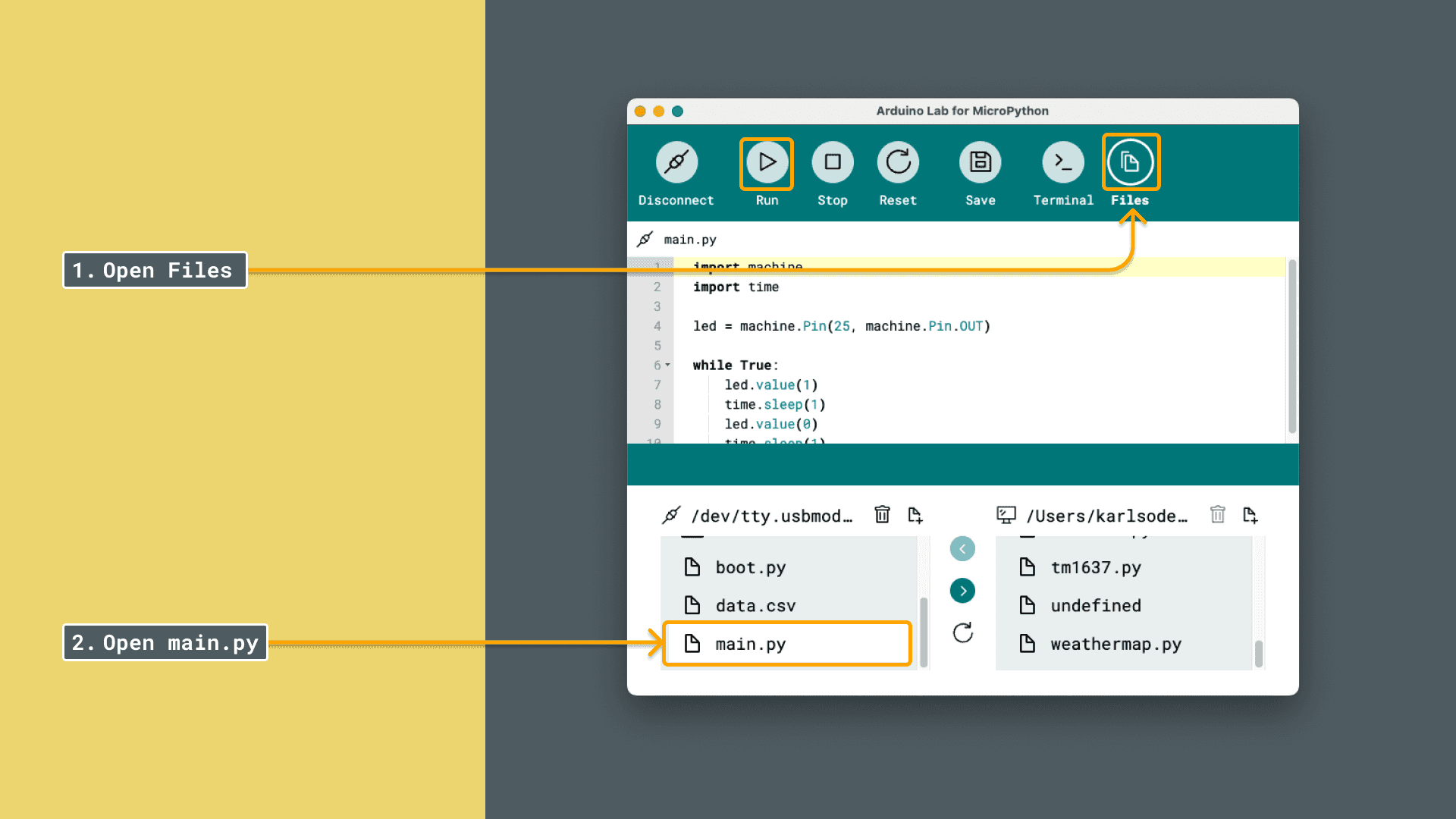Copy and paste the following code into your editor: