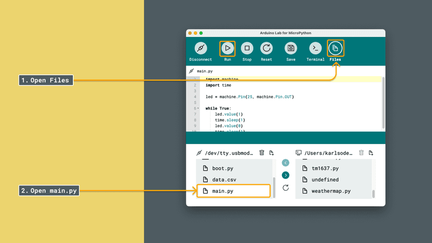 Copy and paste the following code into your editor: