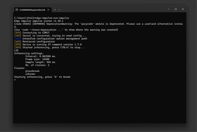 Build & Flash for Nicla Voice
